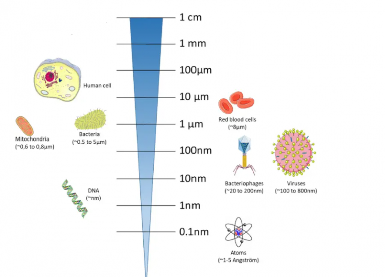 How Does Membrane Filters of Liquids in the Lab Work? - Sanitek